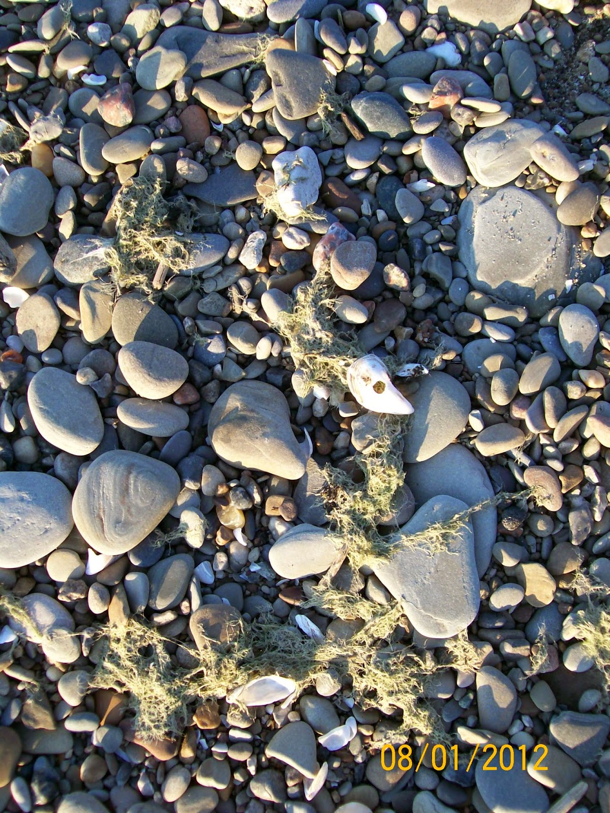 Rockhounding Around: Glacial erratics around Lake Erie