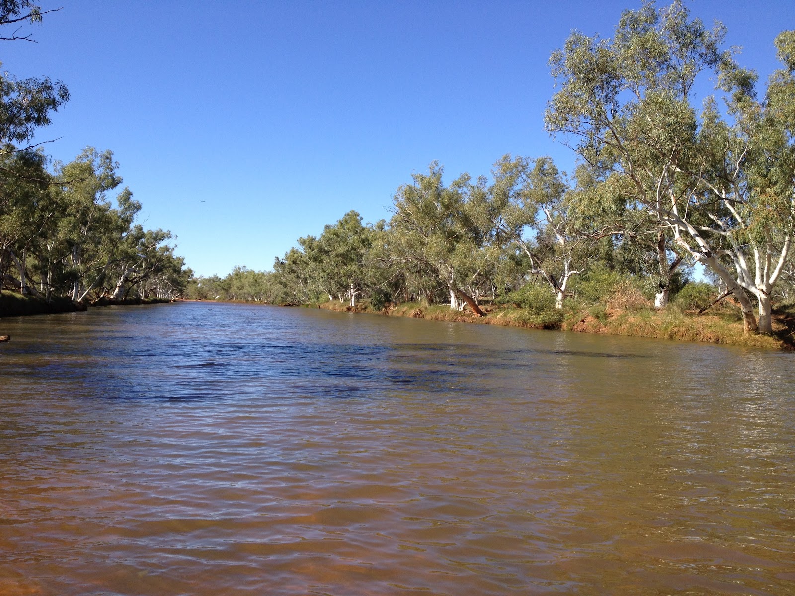 B around Australia: Mt Augustus {Mt Augustus Tourist Park - Station}
