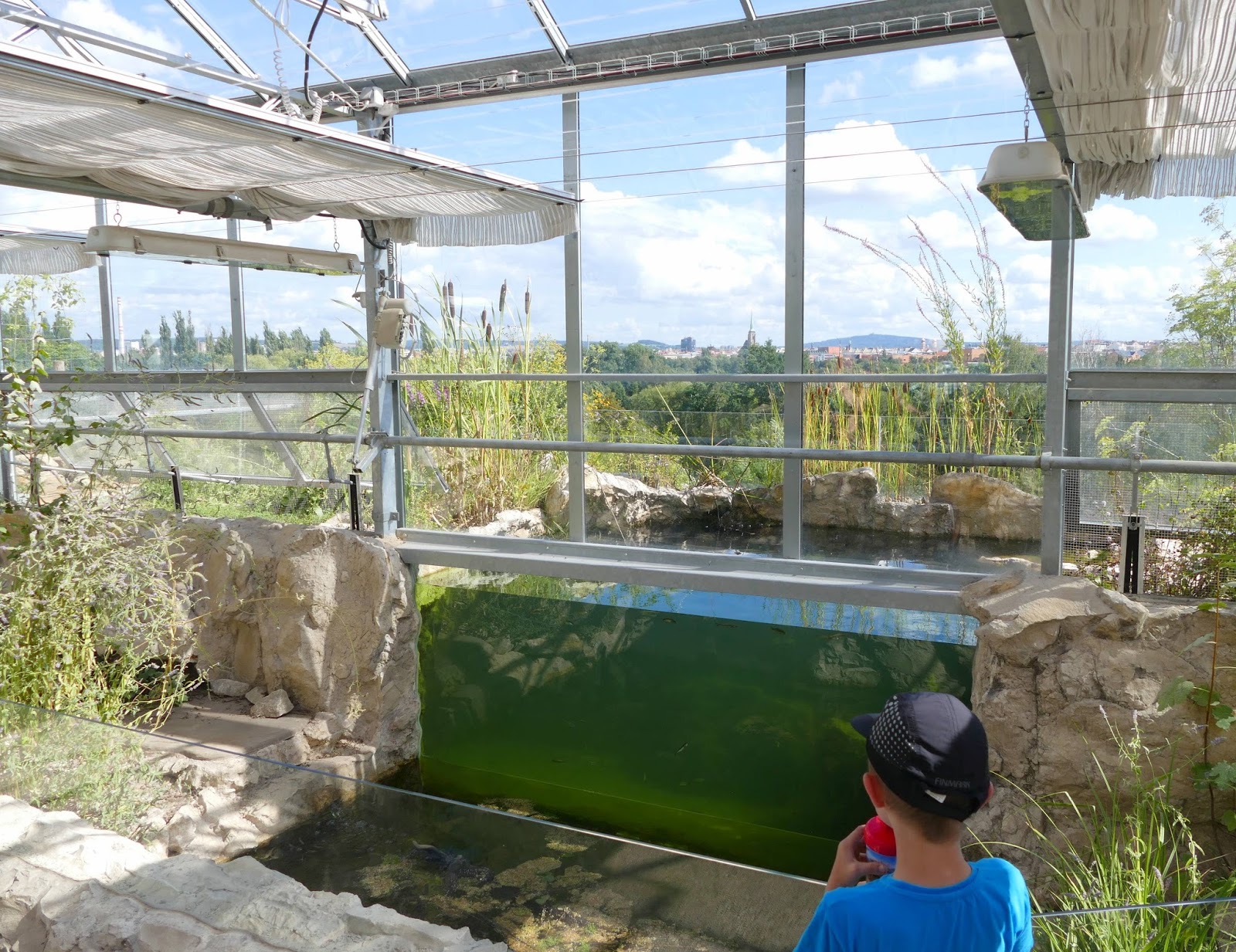 Zoo and Aquarium Design: Outdoor aquarium tanks