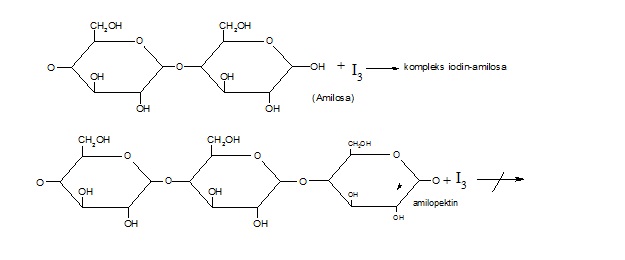 Gula reduksi dan gula non reduksi (karbohidrat -organik) - Sains Pedia