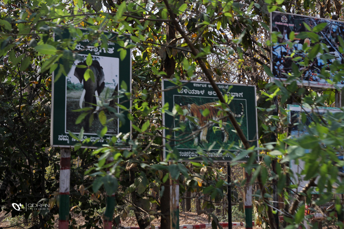 qidr.an ©: Dandeli Trip 2013 | Hubli-Dandeli route
