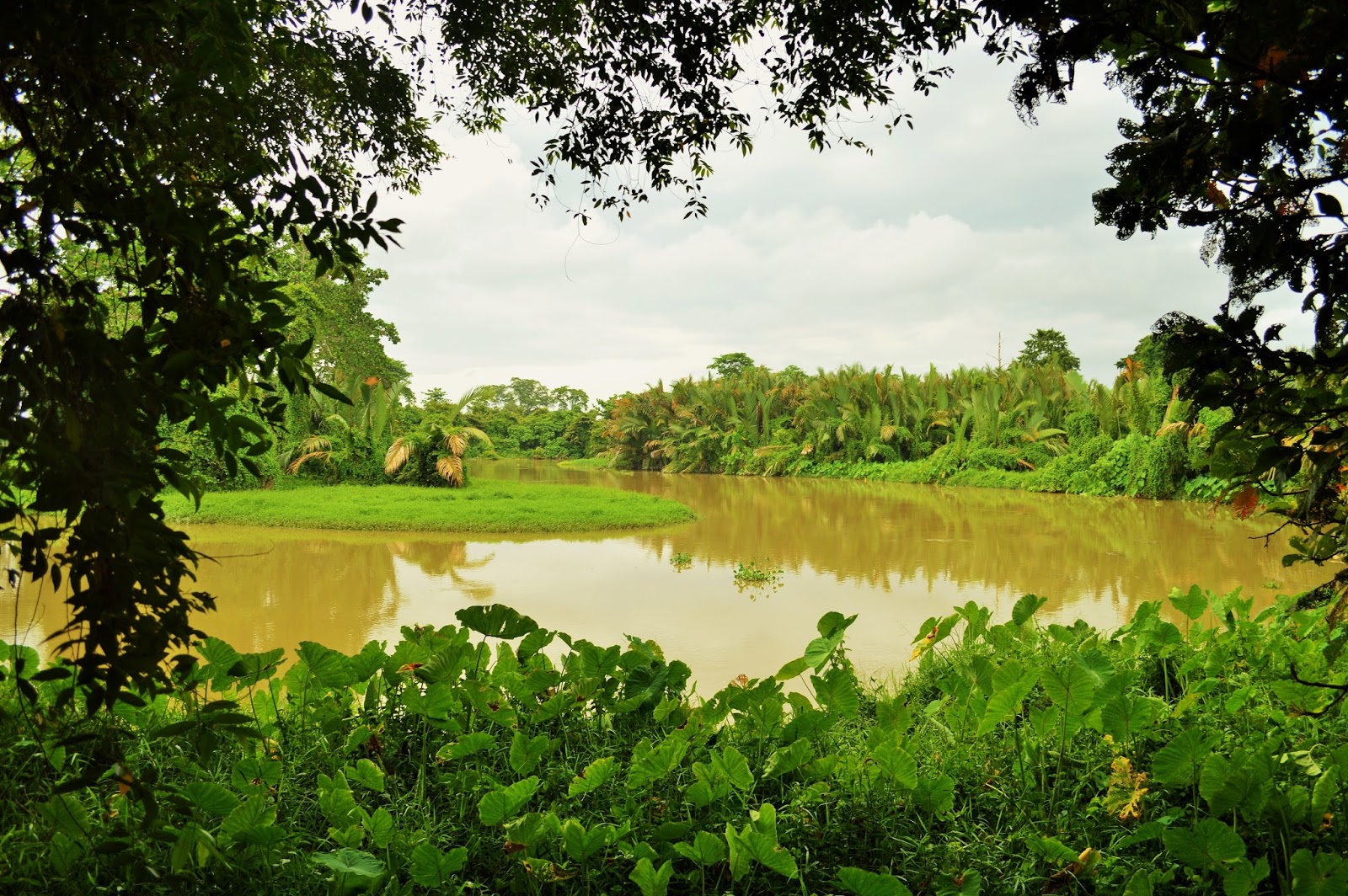 Lifez Like Tat: Hutan Pelajaran Air Hitam Dalam (Air Hitam Dalam ...