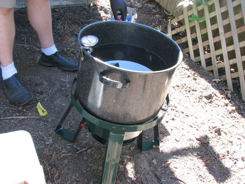 Modern Crafter: Chicken Harvest