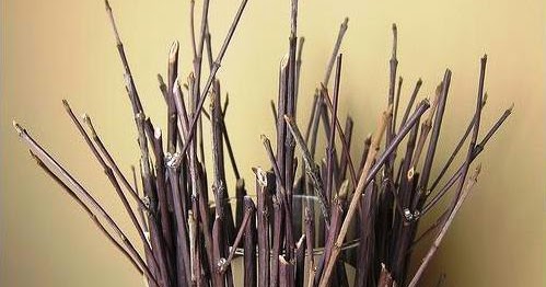 19+ Cara Membuat Bunga Akrilik Dari Ranting Kayu, Trend Inspirasi!