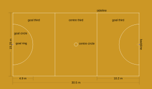 Wonderful World of Sports: General Rules of Netball