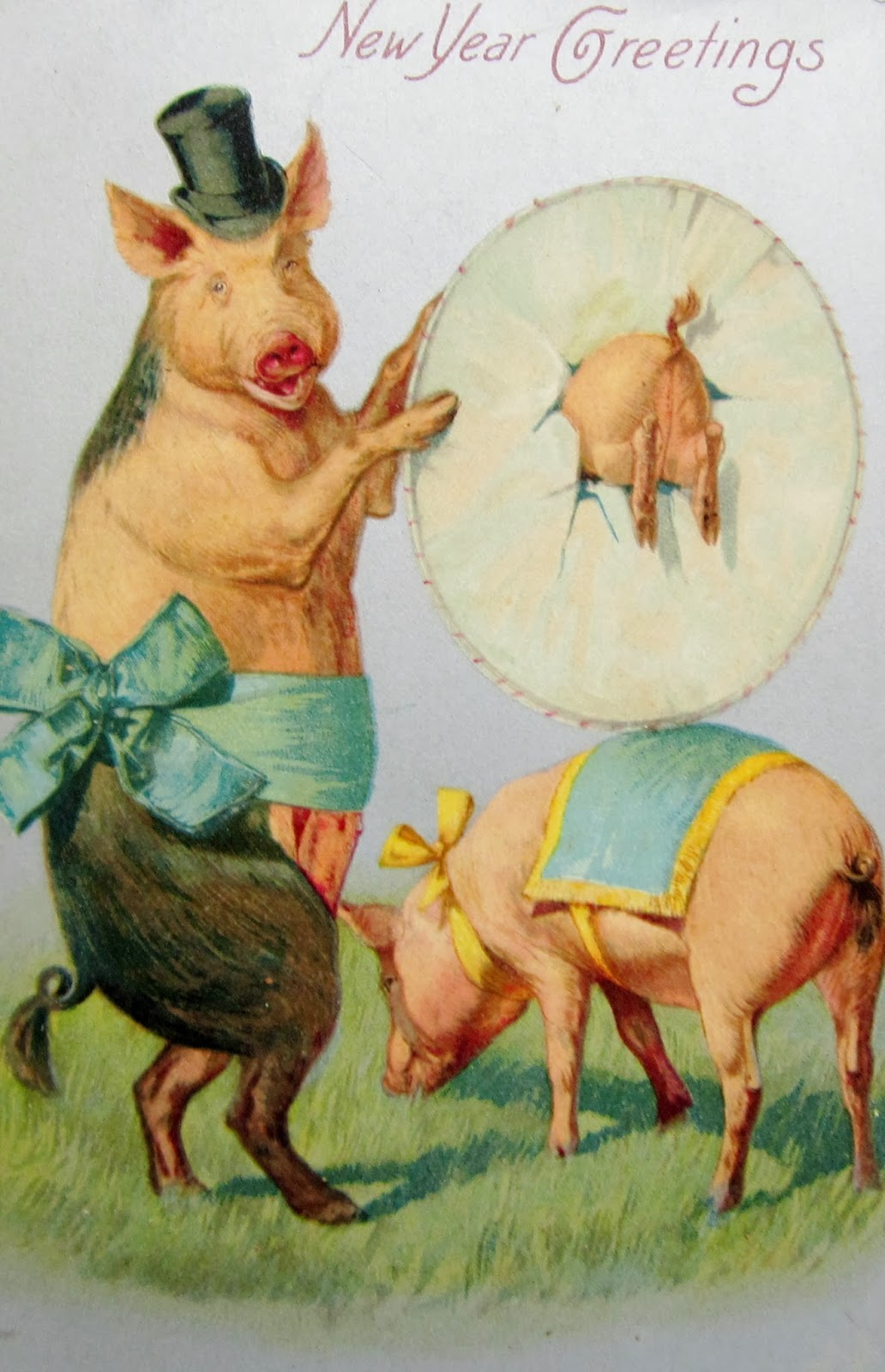 NEW YEAR Pig POSTCARDS