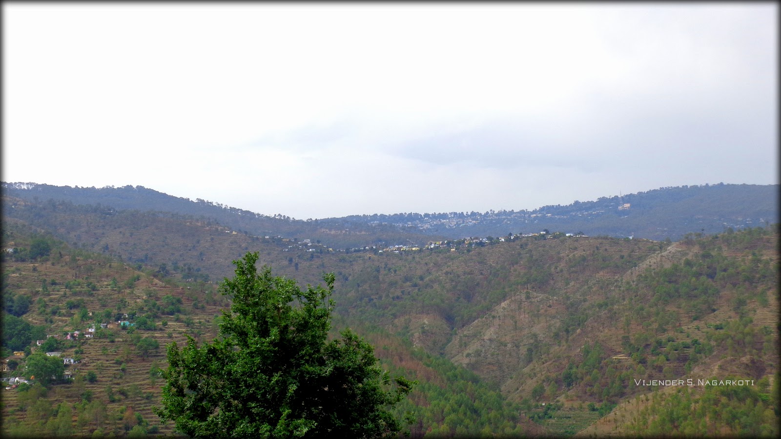 Uttarakhand Tourism: Ranikhet to Dwarahat Journey Pics -2016