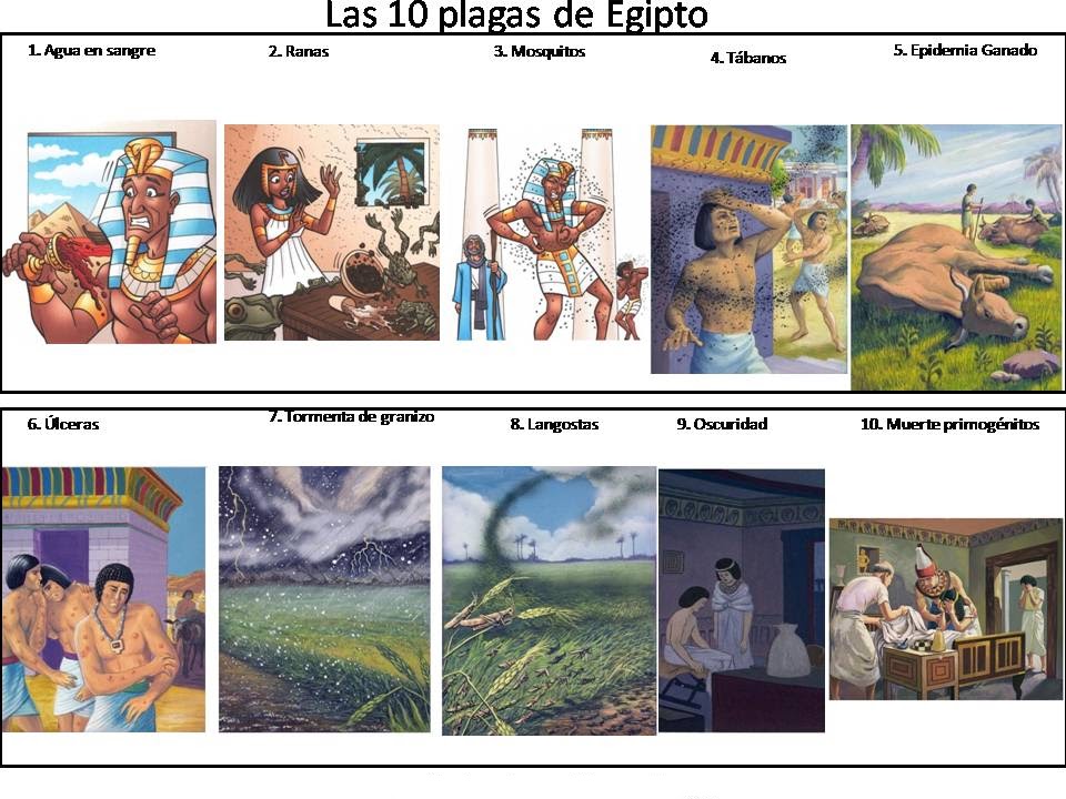 MOISÉS REGRESA A EGIPTO. LAS PLAGAS