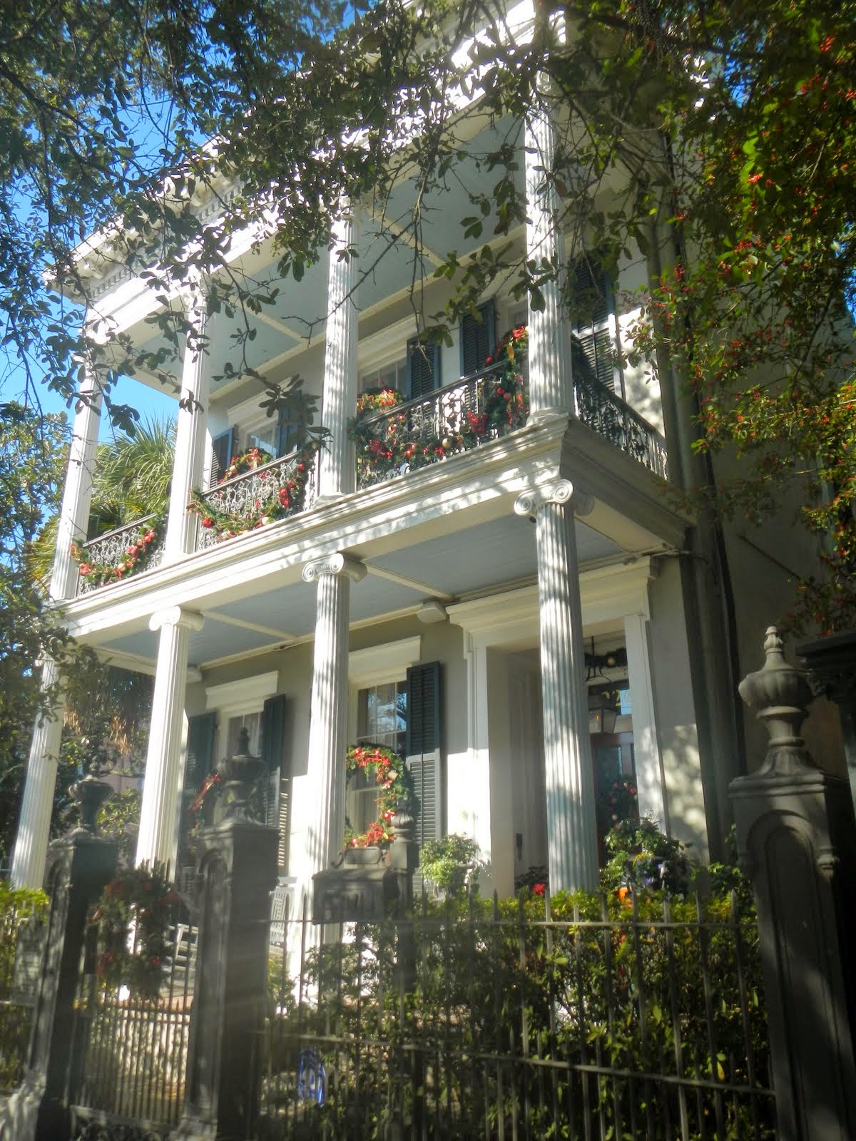 Big Daddy Dave: A Walk Through New Orleans' Garden District