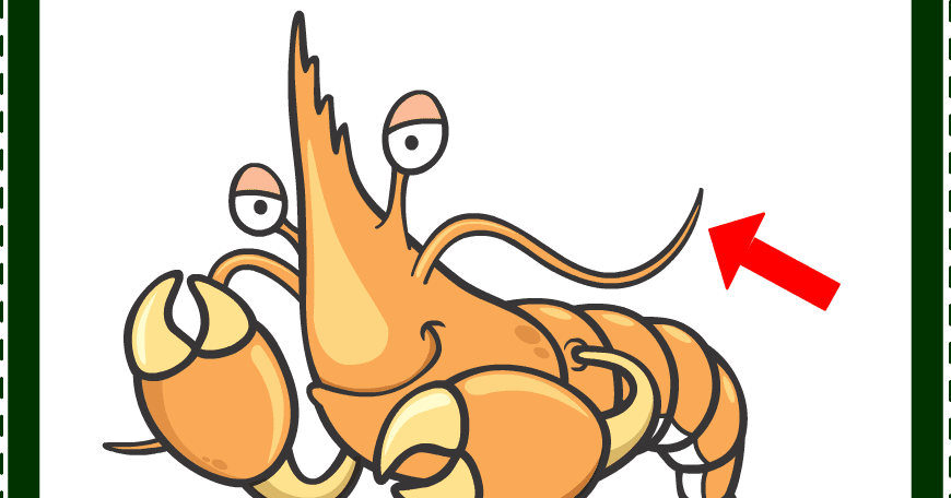 Printable Flashcards: Animal Body Parts. Part 1.