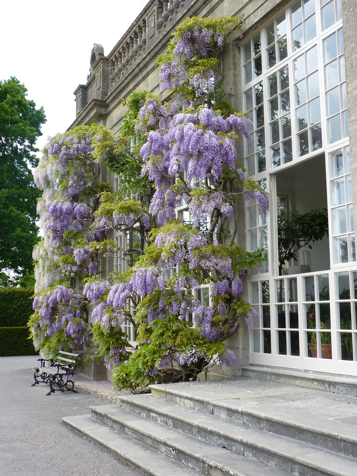 Regency Ramble: Longleat