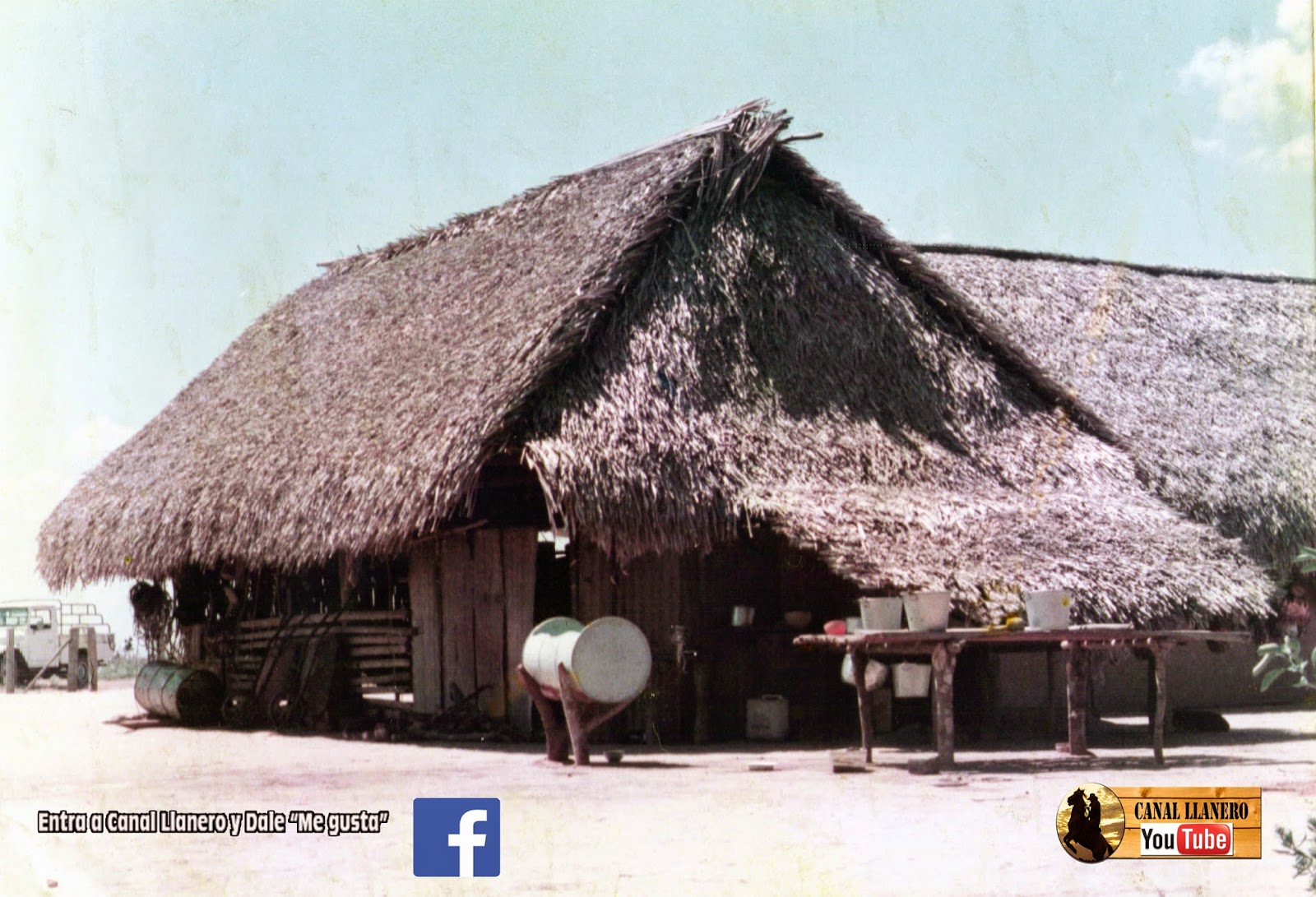 Canal Llanero : EL RANCHÓN LLANERO Y EL TECHO DE PALMA