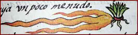 Capítulo 1. Presagio de la venida de los españoles