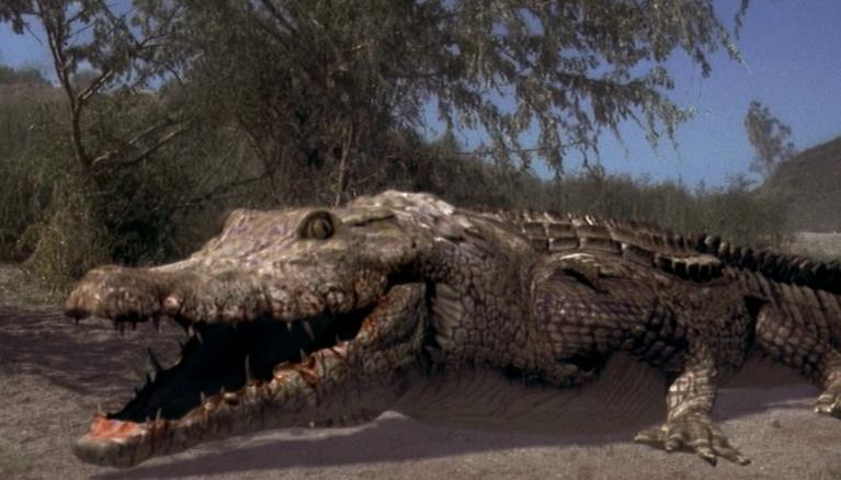 CCC: Clayton's Cinema Countdown : Crocodile (2000) Review