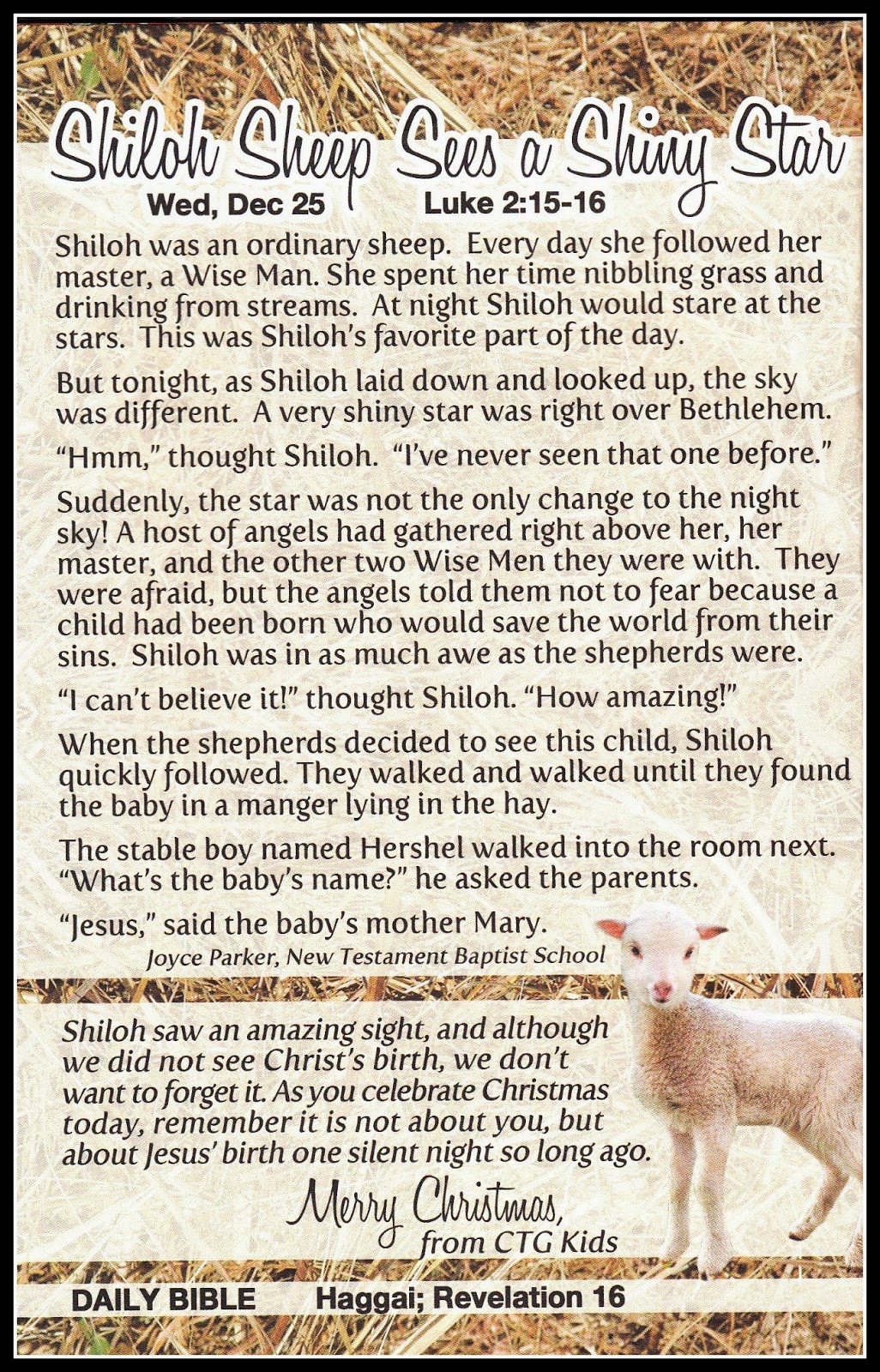 Children's Gems In My Treasure Box: Shiloh Sheep Sees A Shining Star ...