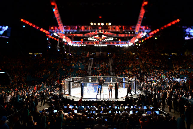 La Face B de Madame Peel: Gentleman Fighter