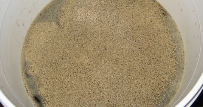 How to pitch yeast correctly into beer wort | How to Home Brew Beer