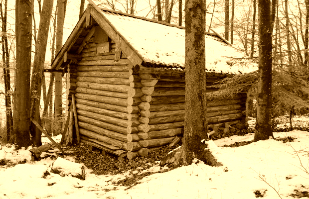 The Digital Research Library of Illinois History Journal™ : The Very ...