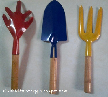 Idayuni: Berkebun: Tanaman Pasu