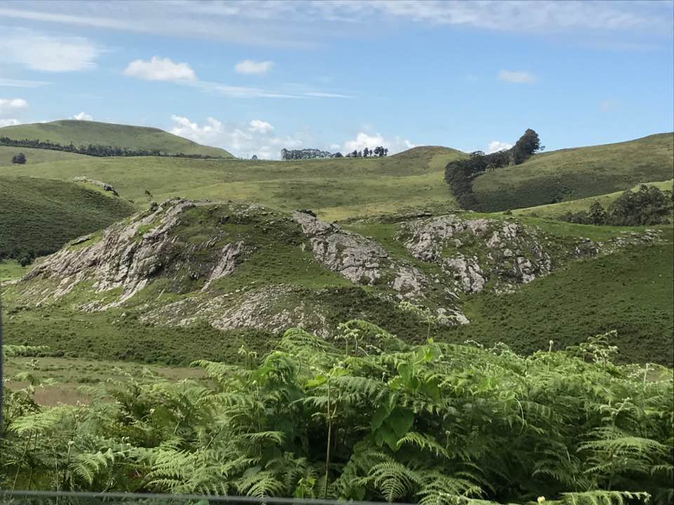 Inside Arewa News: Pictures from the Mambila Breathtaking Beautiful ...