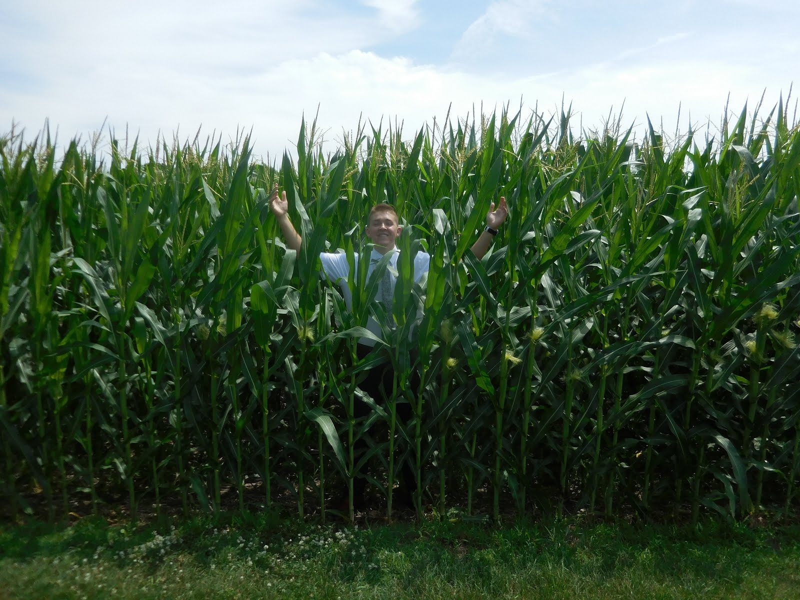 Elder Jacob Anderson: Heat Wave/Corn Wave