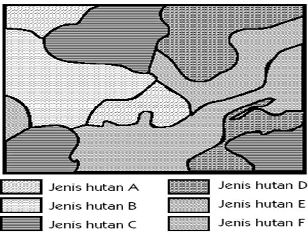 Pengetahuan Peta - Pembelajaran Geografi