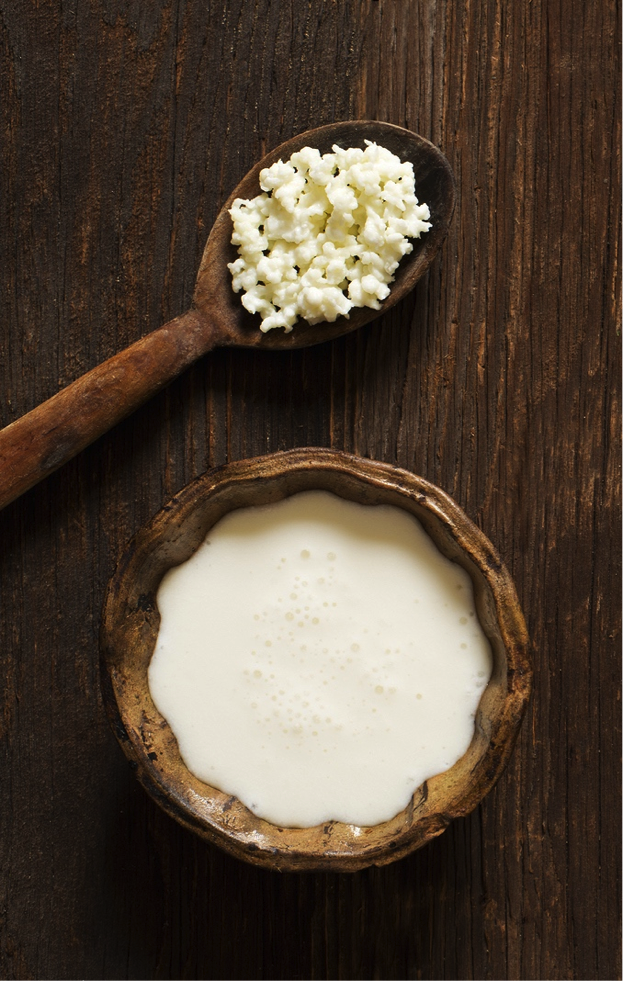 ALL ABOUT KEFIR, ONE OF NATURES MOST PROBIOTIC RICH SUPER FOOD ON THE ...