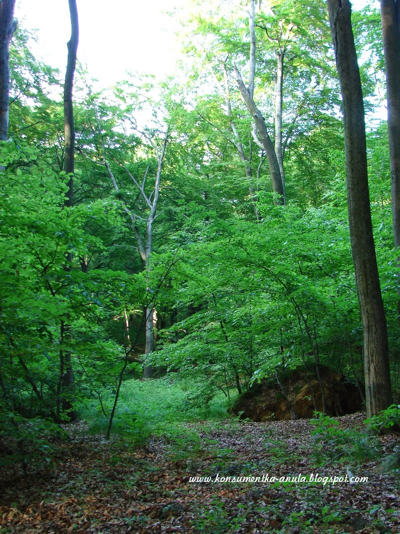 Anula bloguje... testy, opinie, medycyna, kulinaria i inne kreatywności ...