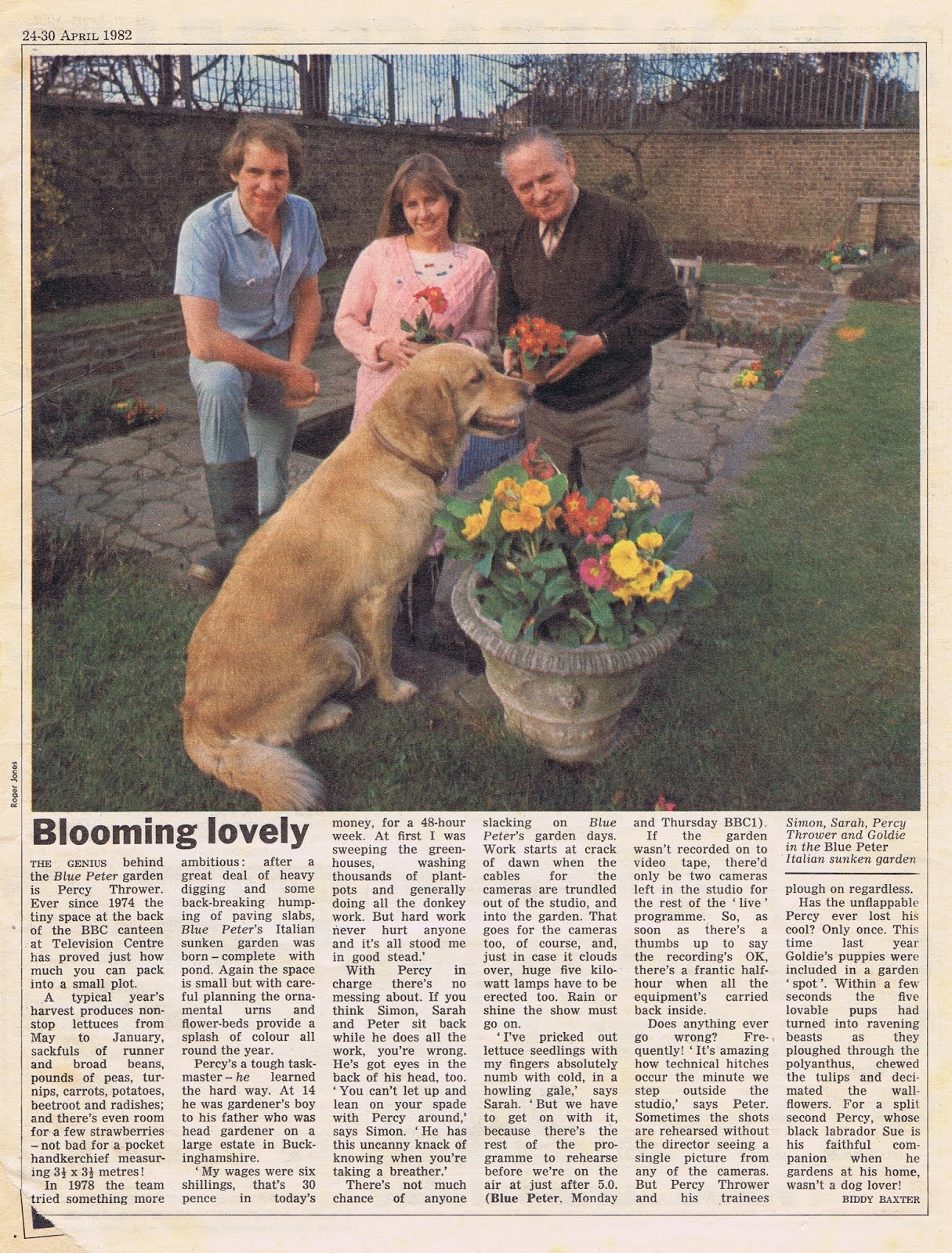 Arfon.net The Art of Arfon Jones: The Blue Peter Garden