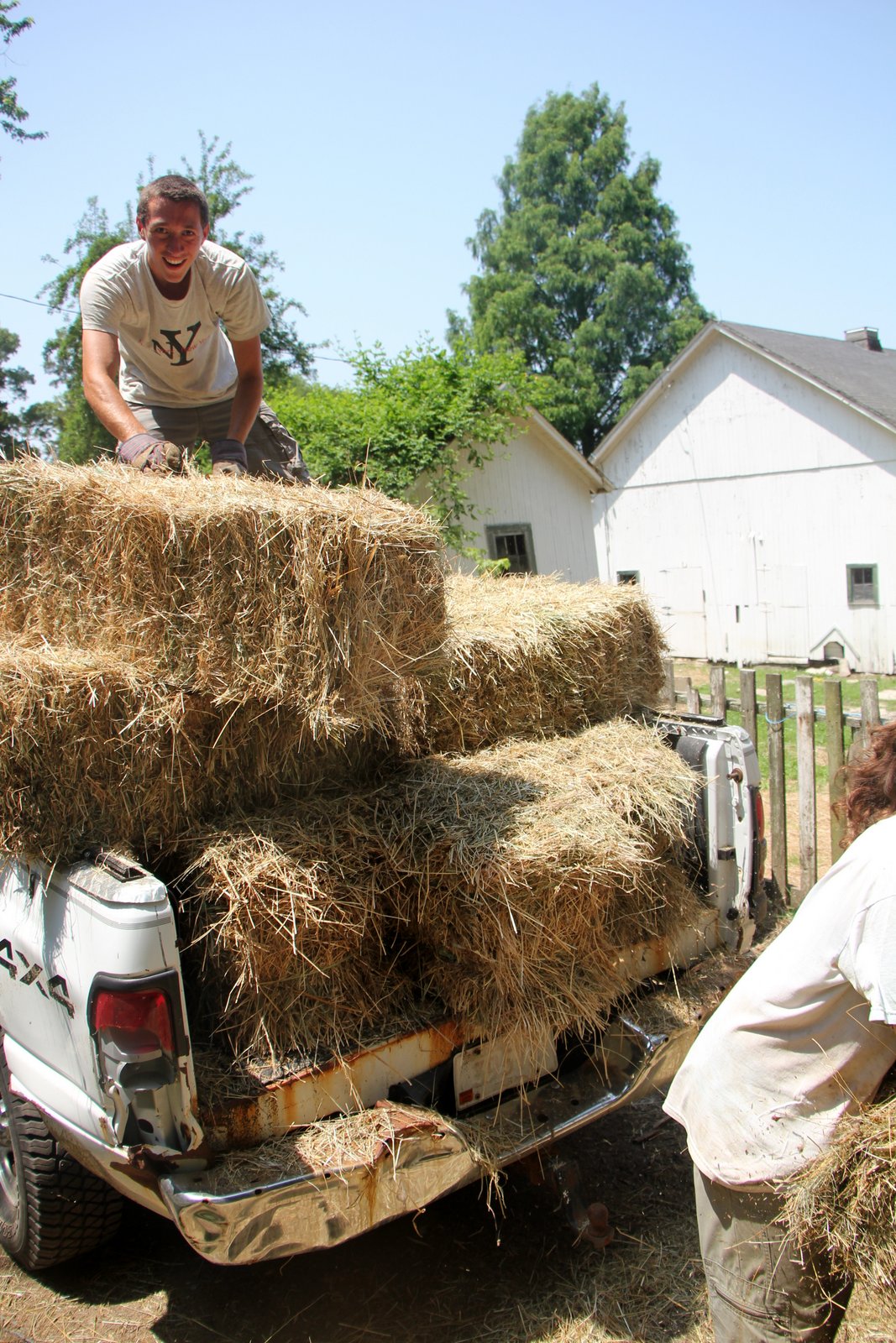 Barberry Hill Farm: Making Hay While the Sun Shines