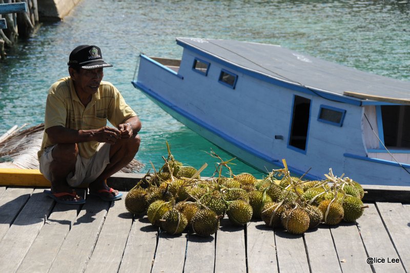 Where I Dive: Togian, Indonesia