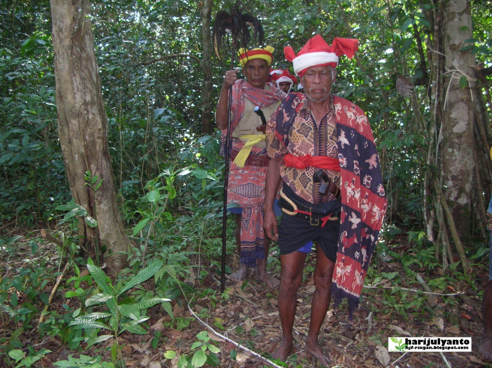 Ringan: Persembahan di Hutan Ritus ( Ritual Purung Taliang Marapu )
