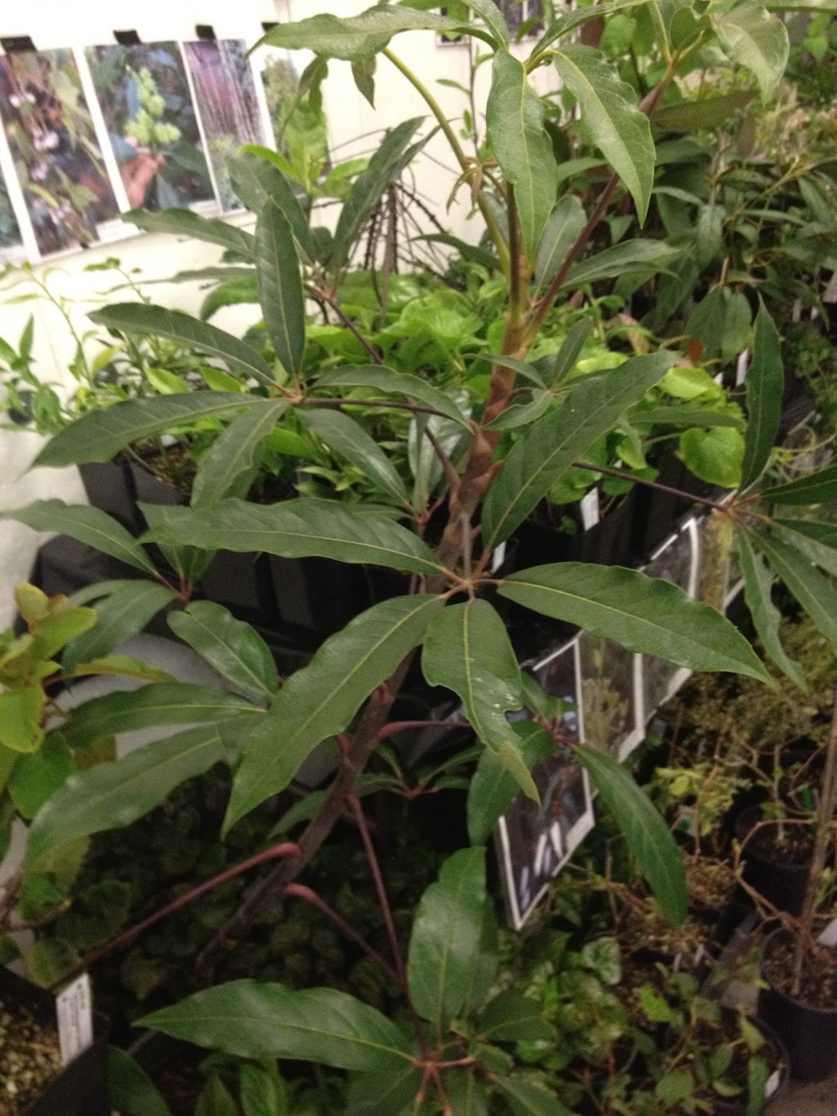 Growing Steady: April 2012