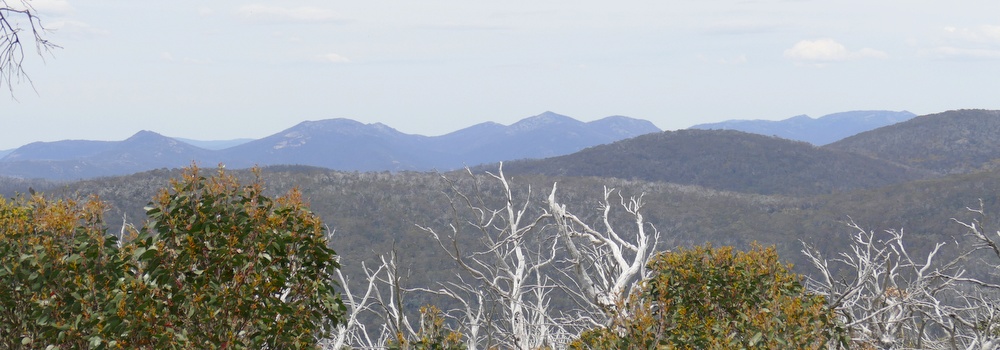 Ian Fraser, talking naturally: Mount Ginini; top of the Australian ...