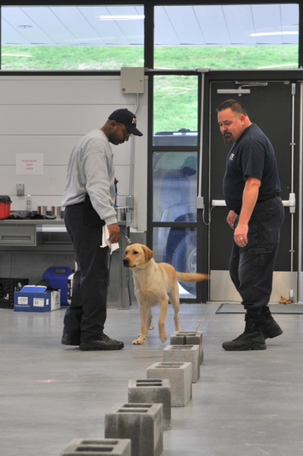 Changing of the Guard for PGFD Accelerant Detection Canines
