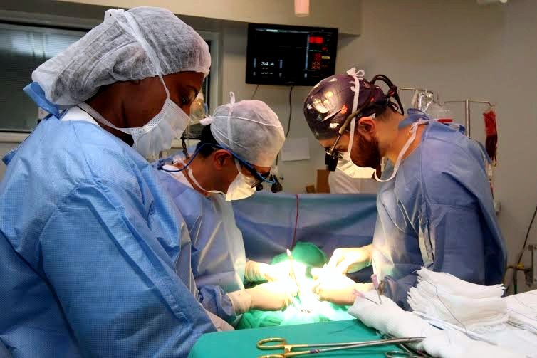 CAFÉ COM NOTÍCIAS: SUS é referência em atendimento médico à população