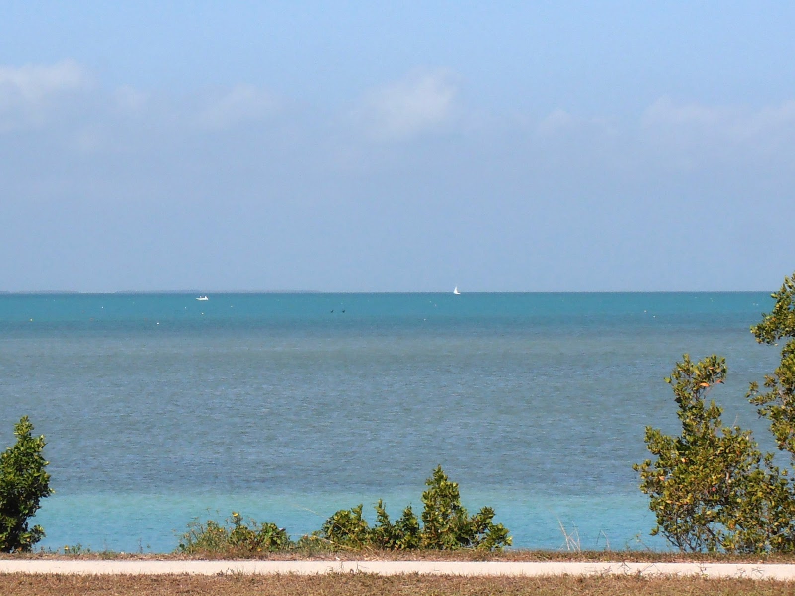 American Travel Journal: Anne's Beach, Islamorada, Florida