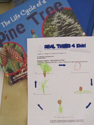 Christmas Tree Preschool Unit | School Time Snippets