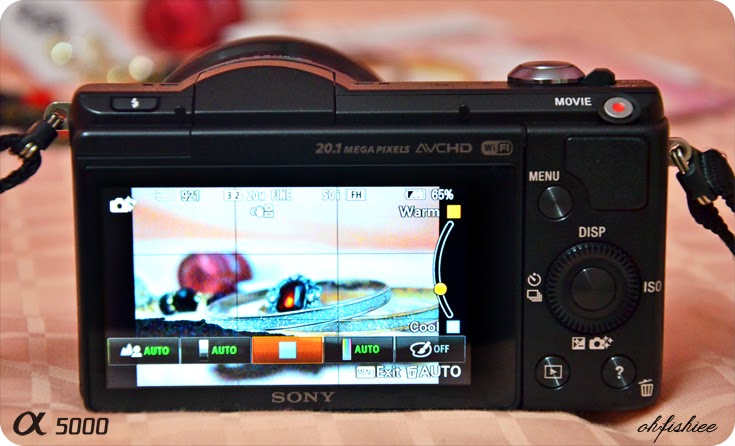 oh{FISH}iee: Review: Sony Alpha 5000 Lightest Interchangeable Lens Camera