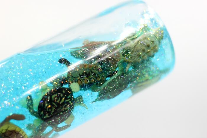 Swimming Turtles Discovery Bottle Activity for Preschoolers | Sunny Day ...