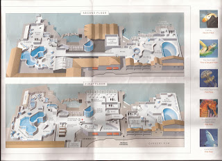 Zoo Tails: Monterey Bay Aquarium Review