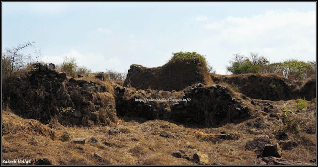The Voice of Greenery - Trekking and Travelling in Western Ghats ...
