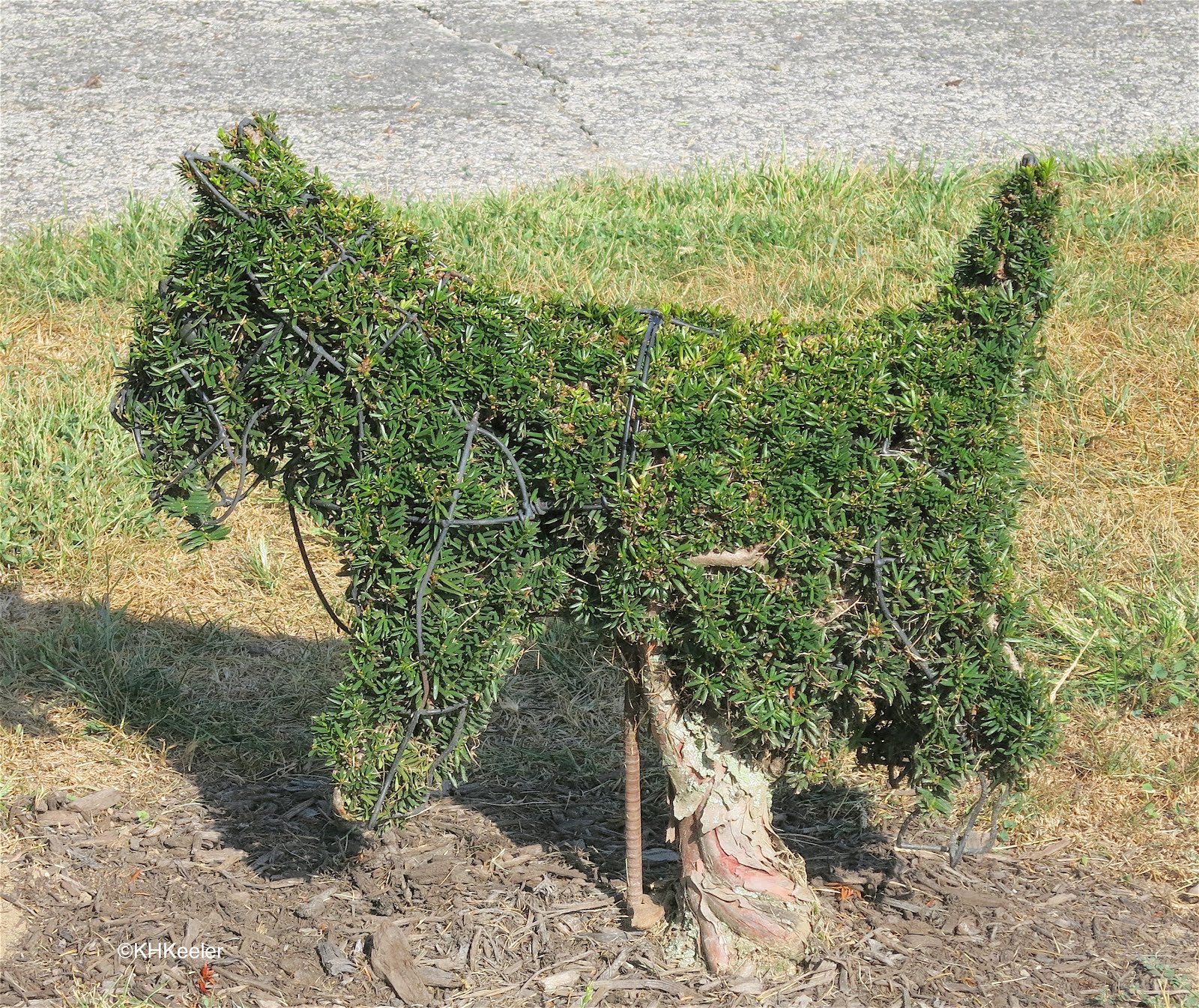 A Wandering Botanist: Plant Possibilities