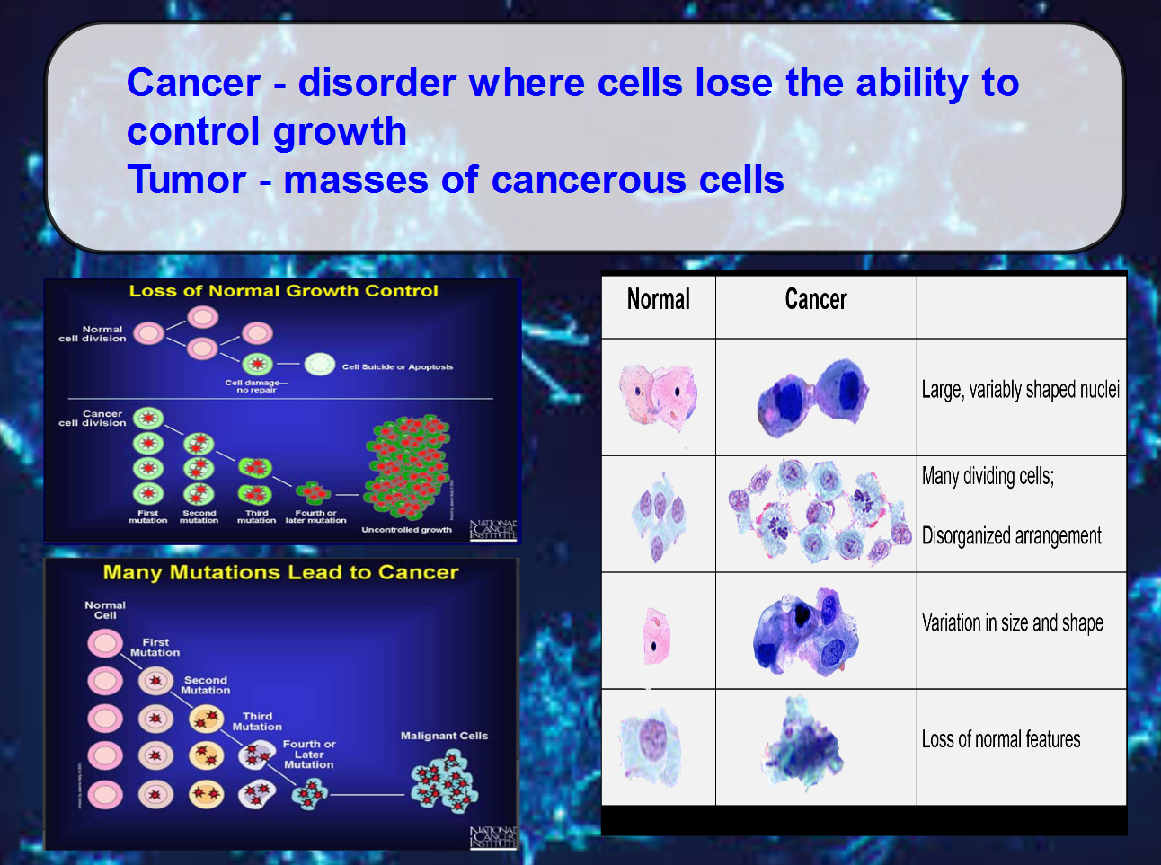 Science 7: Mitosis notes
