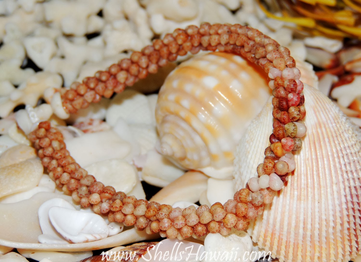 Kahelelani & Sunrise shell jewelry by.... Janjira: August 2013