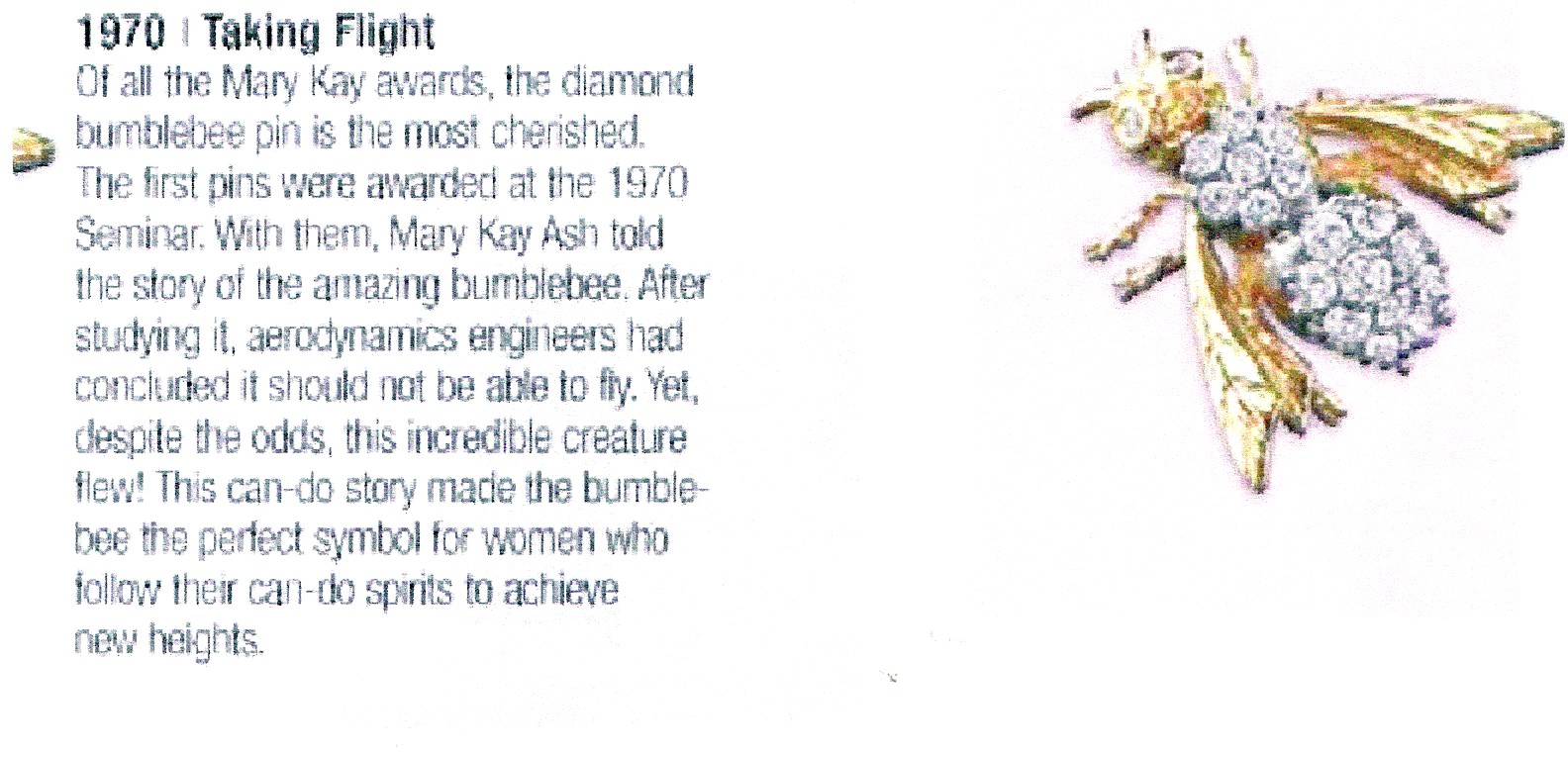 If Deaf Woman Could Hear...: Mary Kay Ash and The Bumblebee