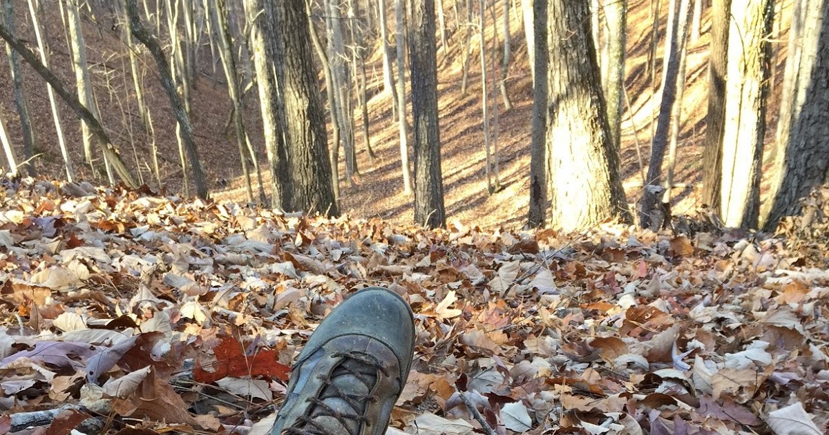 1895Gunner: WMA Hunting in NW Georgia - 2016