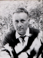 Kleurrijke Cobra : Schilders Cobra