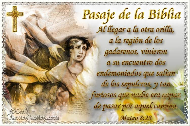 Vidas Santas: Santo Evangelio según san Mateo 8:28