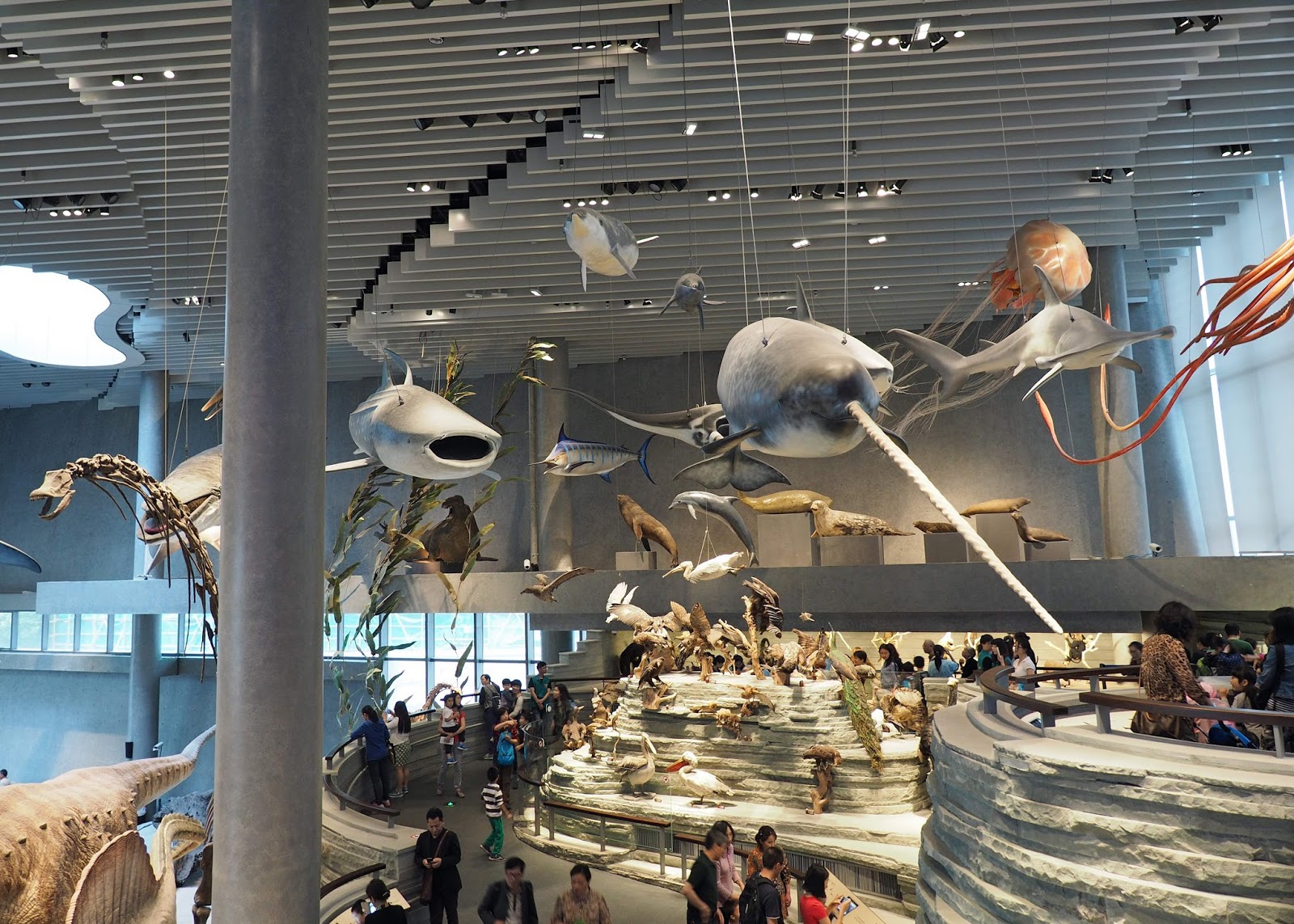 Shanghai 2015 - Shanghai Natural History Museum